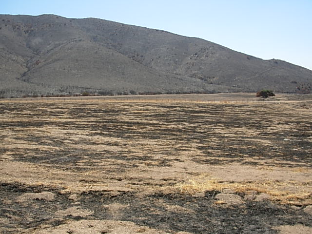 Firestone Ranch, Agua Dulce, California