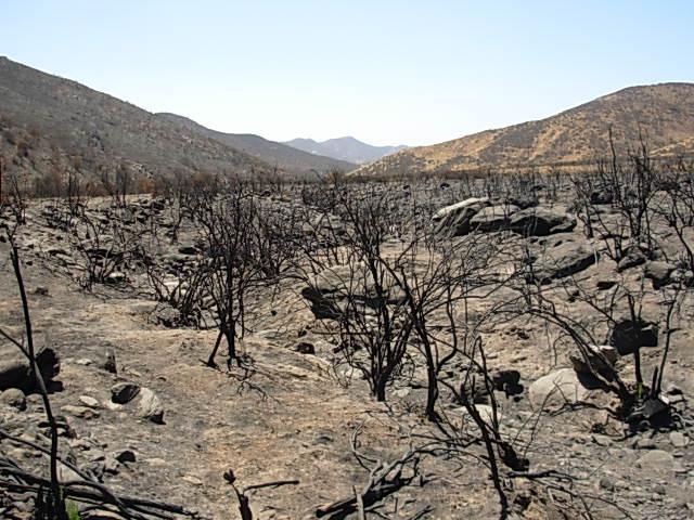 Firestone Ranch, Agua Dulce, California