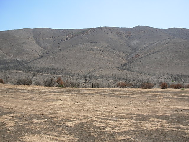 Firestone Ranch, Agua Dulce, California
