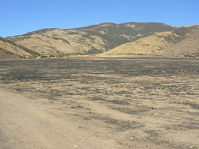 Firestone Ranch, Agua Dulce, California