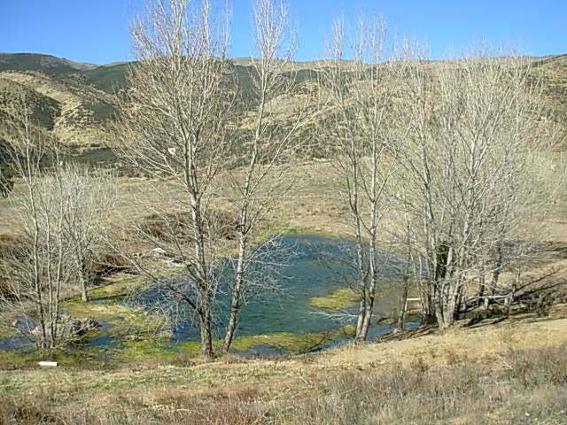 Firestone Ranch, Agua Dulce, California