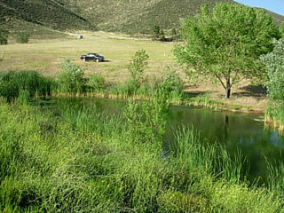 Firestone Ranch, Agua Dulce, California