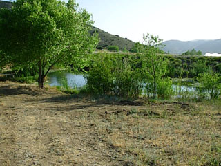 Firestone Ranch, Agua Dulce, California