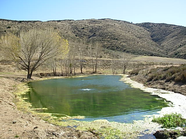 Firestone Ranch, Agua Dulce, California