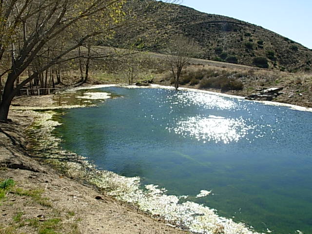 Firestone Ranch, Agua Dulce, California