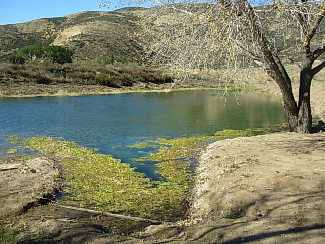 Firestone Ranch, Agua Dulce, California