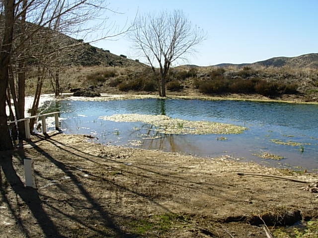Firestone Ranch