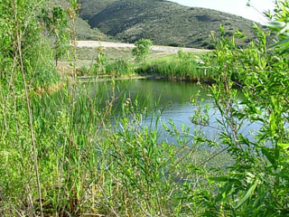 Firestone Ranch, Agua Dulce, California