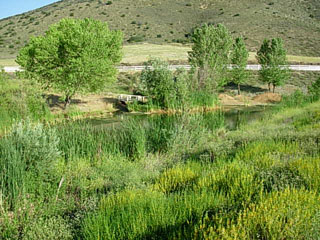 Firestone Ranch, Agua Dulce, California