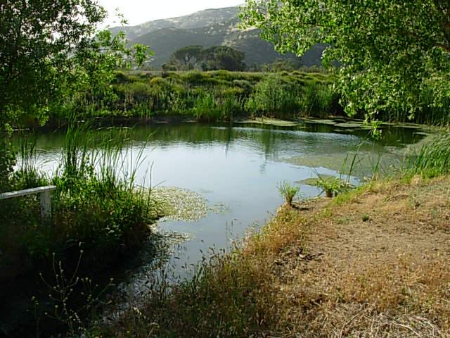Firestone Ranch, Agua Dulce, California